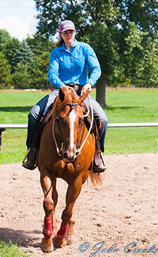 Home [ccrhorsetraining.com]