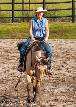 Home [ccrhorsetraining.com]